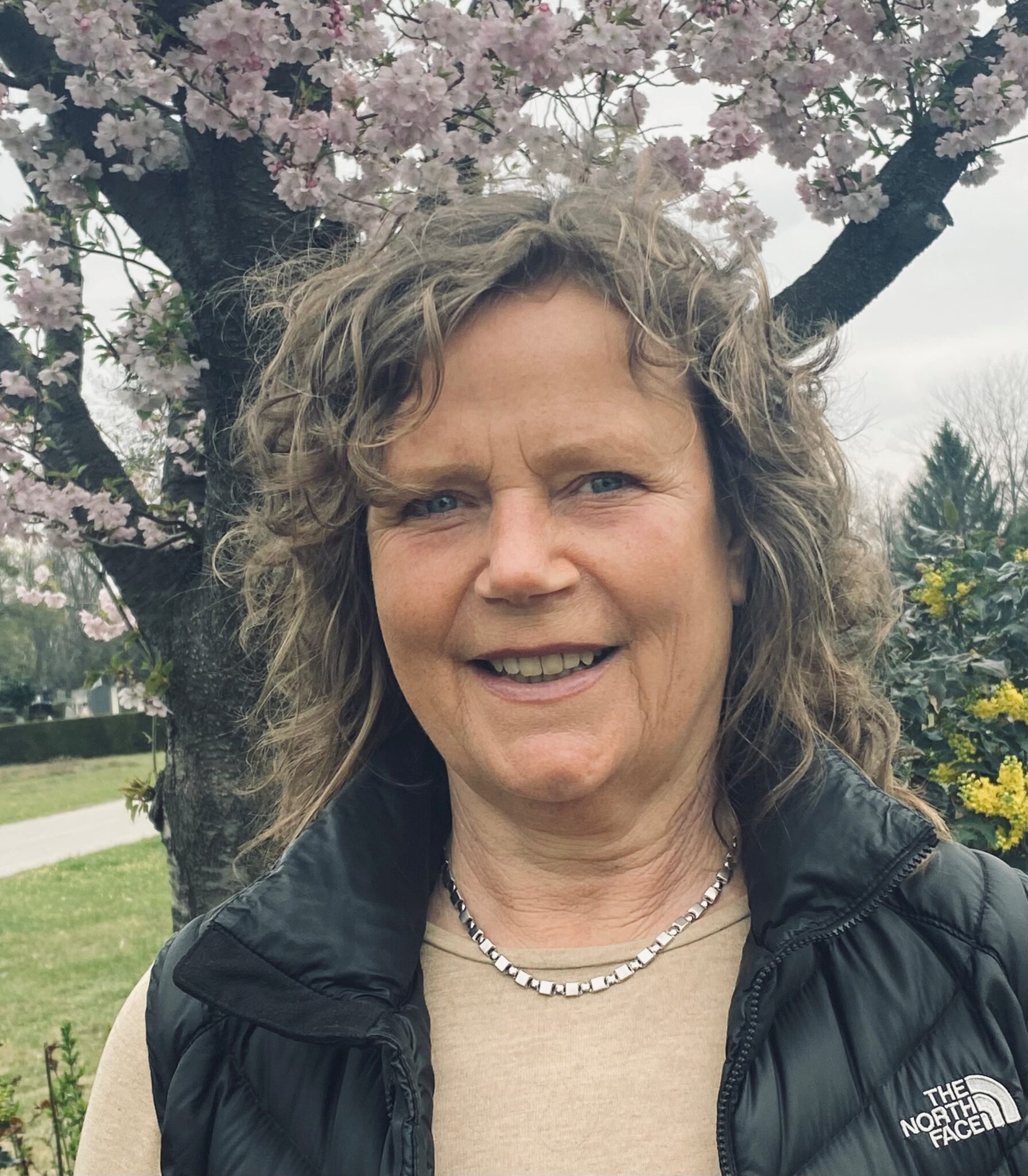 Landesverband für Bienenzucht in Wien – Landesverband für Bienenzucht ...